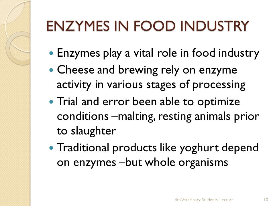 What is the role of enzymes in food?