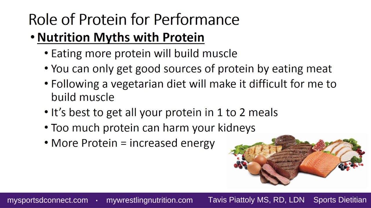 What is the role of protein in performance nutrition?