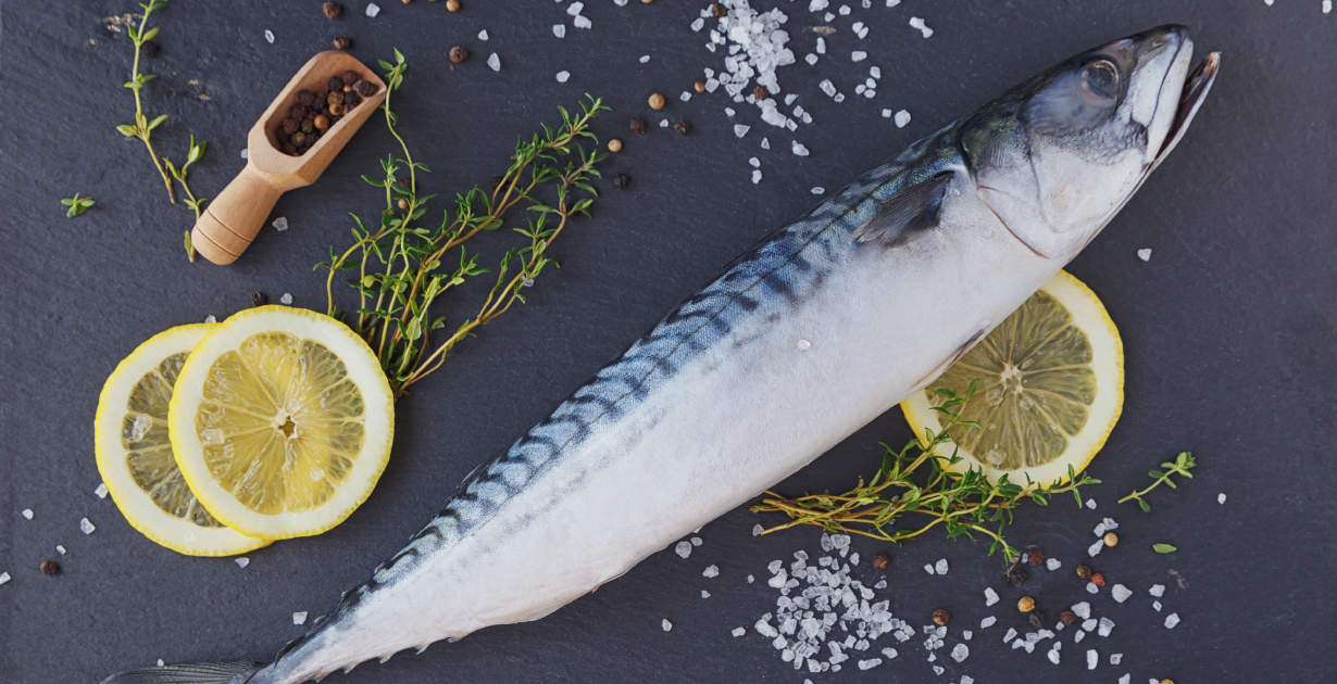 What is the safest mackerel to eat?