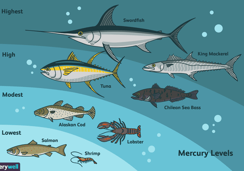 What is the safest seafood to eat?