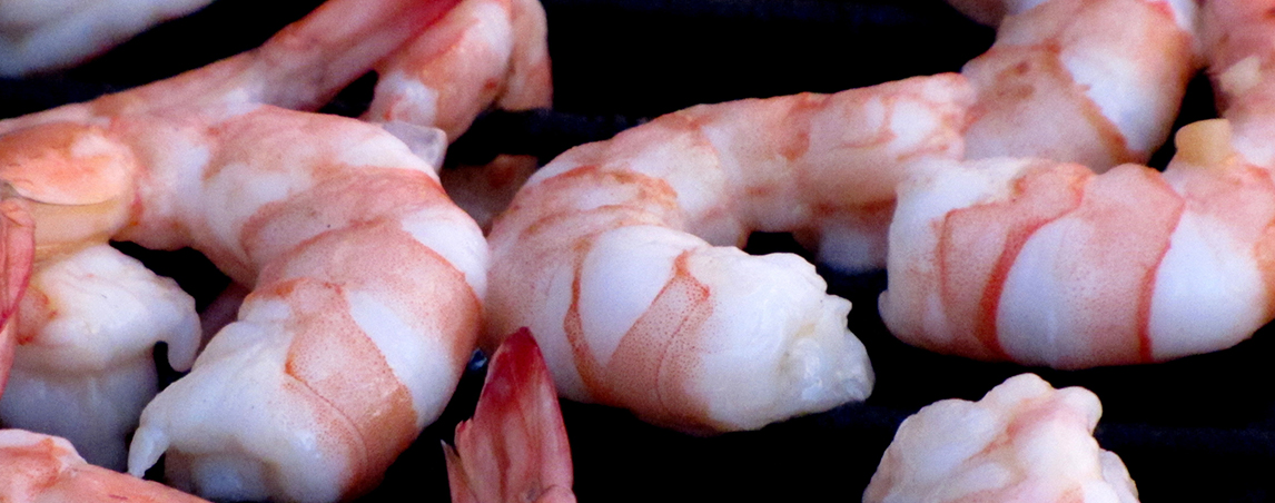 What is the safest shrimp to eat?