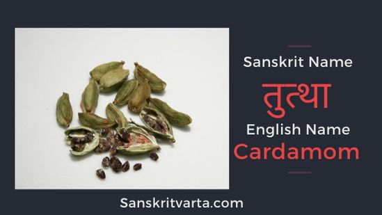 What is the Sanskrit name of cardamom?