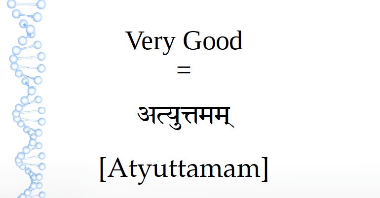 What is the Sanskrit word for goodness?