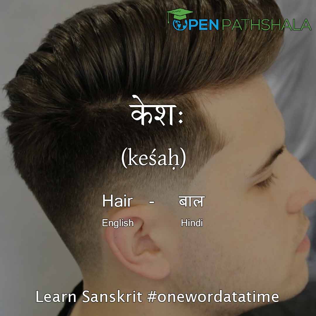 What is the Sanskrit word for hair?