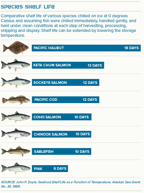 What is the shelf life of most fish?
