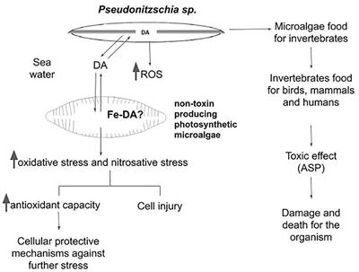 What is the significance of domoic acid to your life?