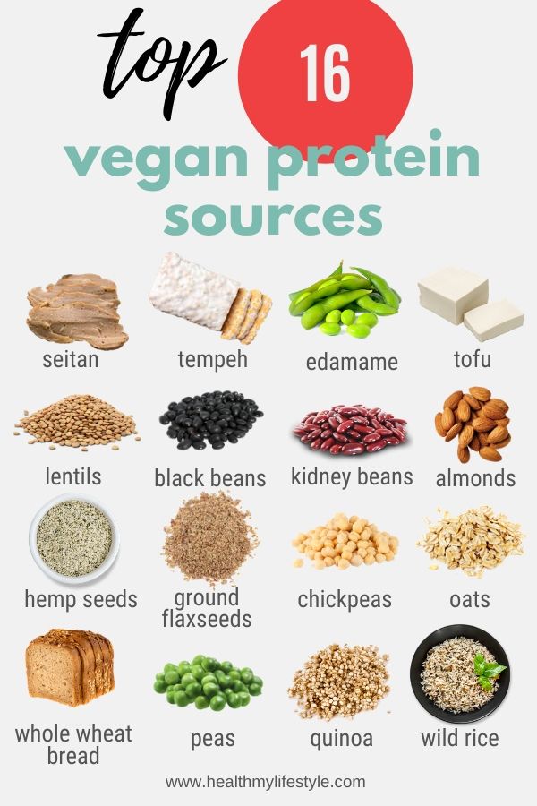 What is the source of amino acids in a plant-based protein?