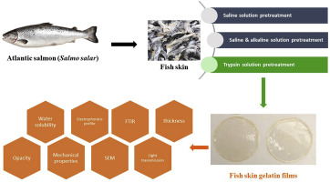 What is the source of gelatin in fish skin?