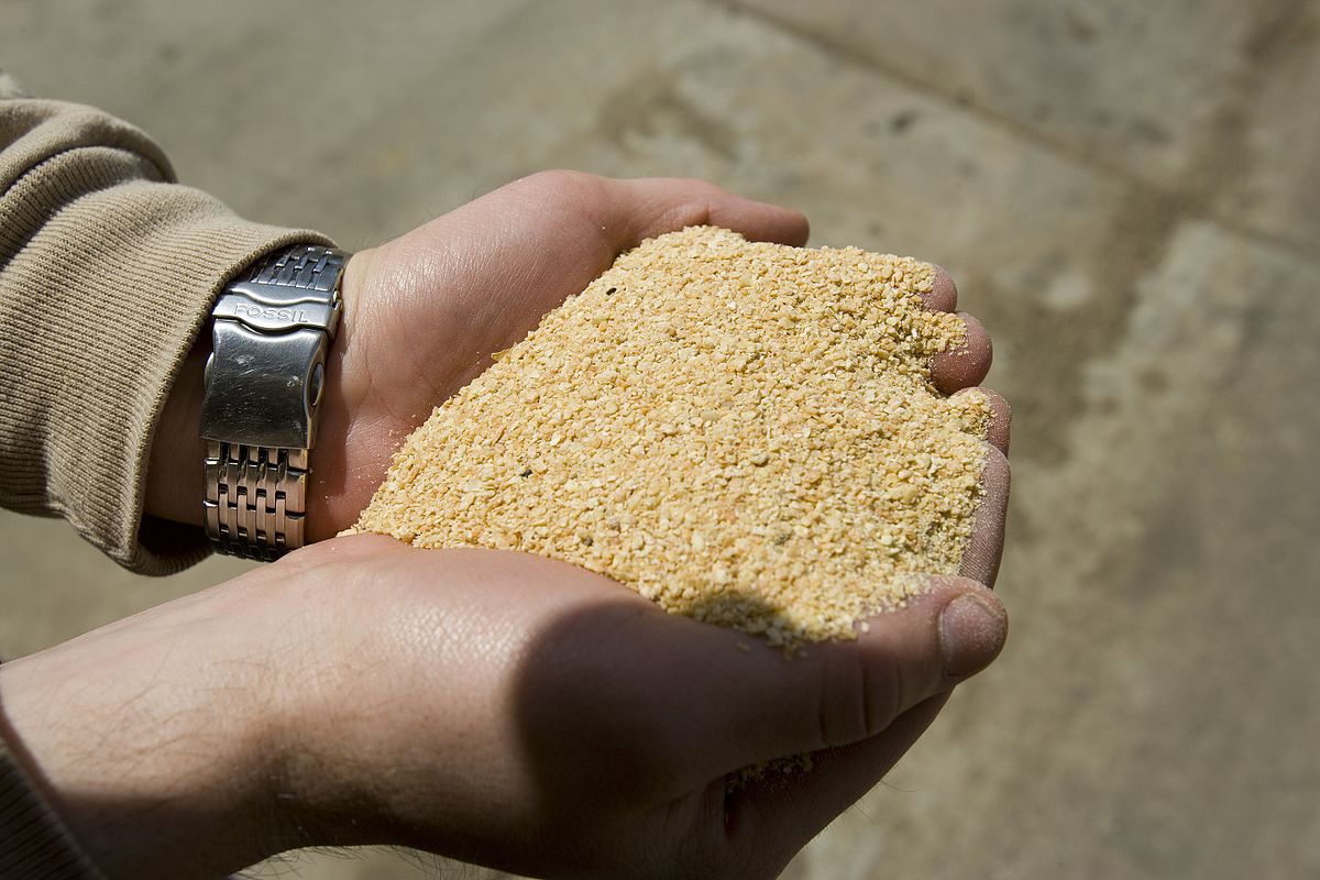 What is the source of soybean meal?