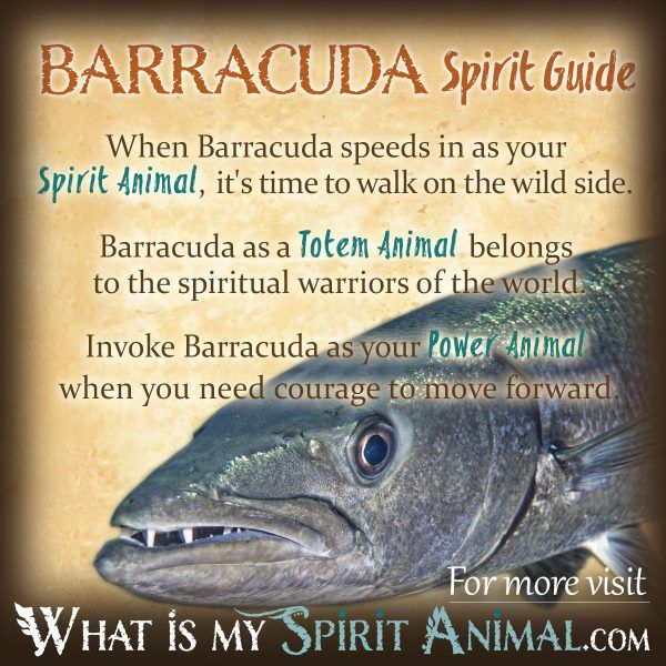 What is the spiritual meaning for fish?