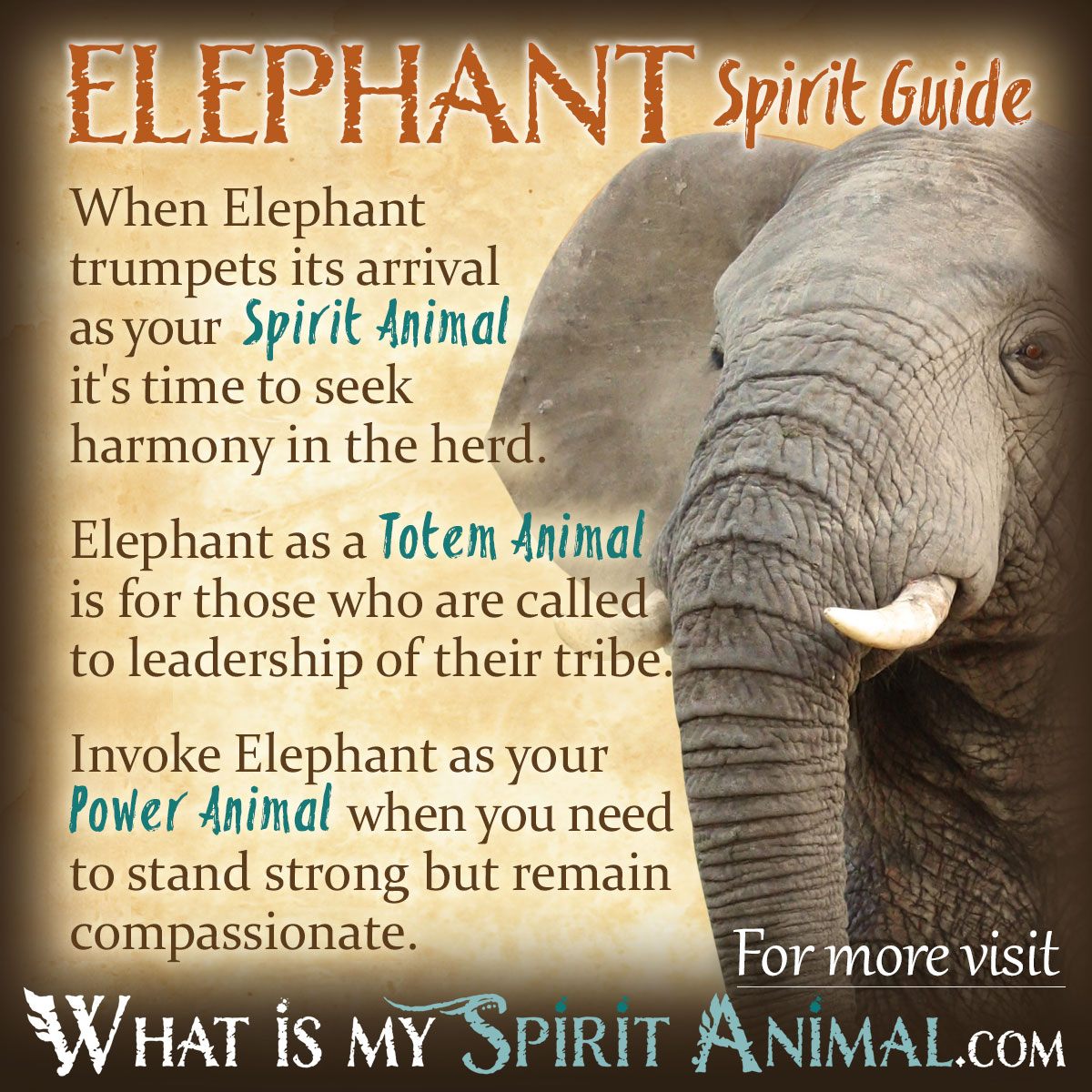 What is the spiritual meaning of the elephant?