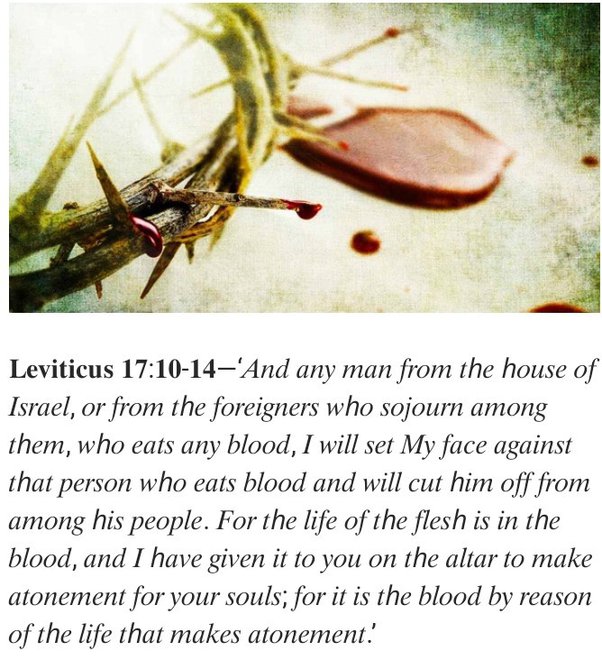 What is the symbolic meaning of blood in the Bible?