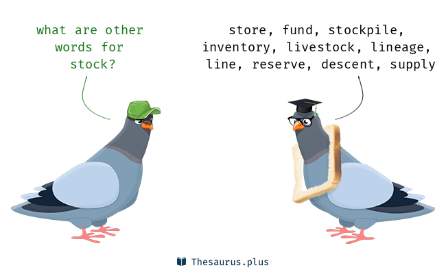 What is the synonym of stock?