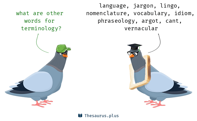 What is the synonym of terminology?