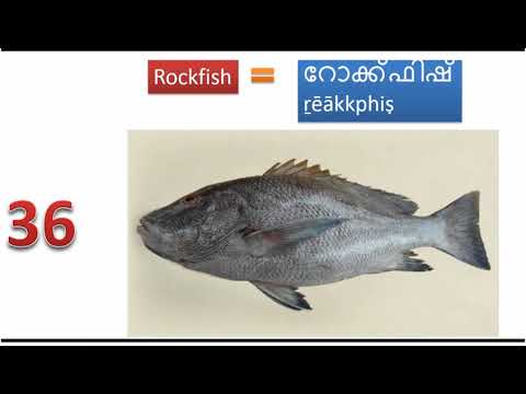 What is the tastiest fish in Malayalam?
