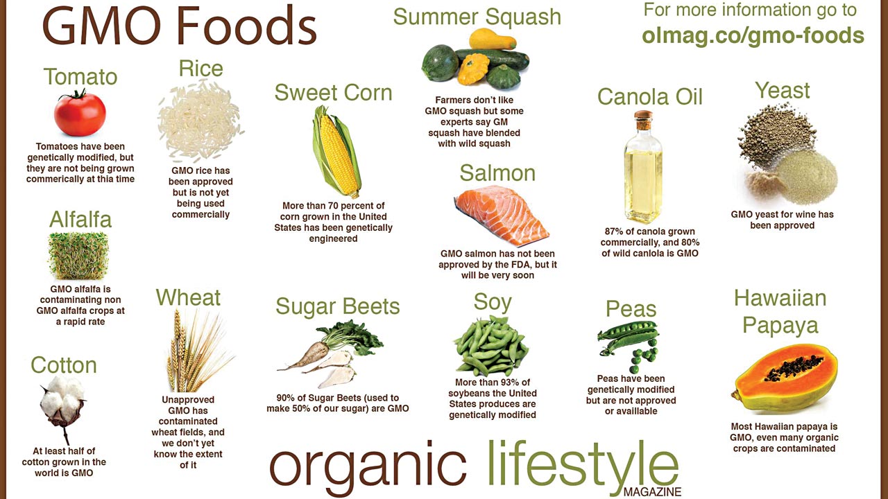 What is the top genetically modified food?