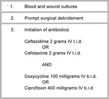 What is the treatment for Vibrio?