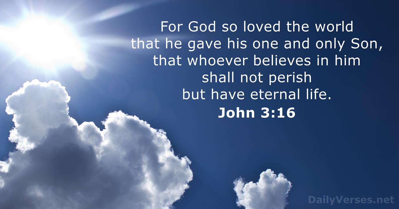 What is the verse John 316?