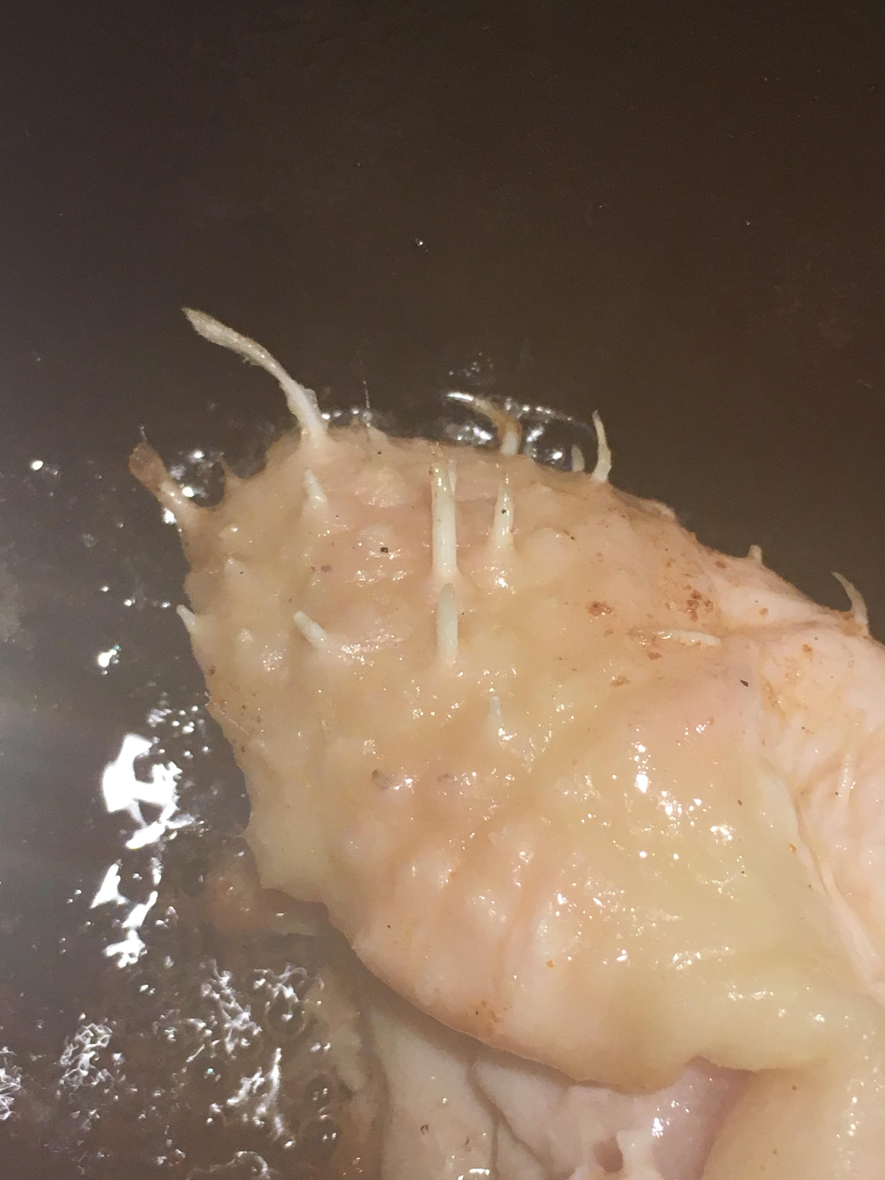 What is the white thing in my chicken?