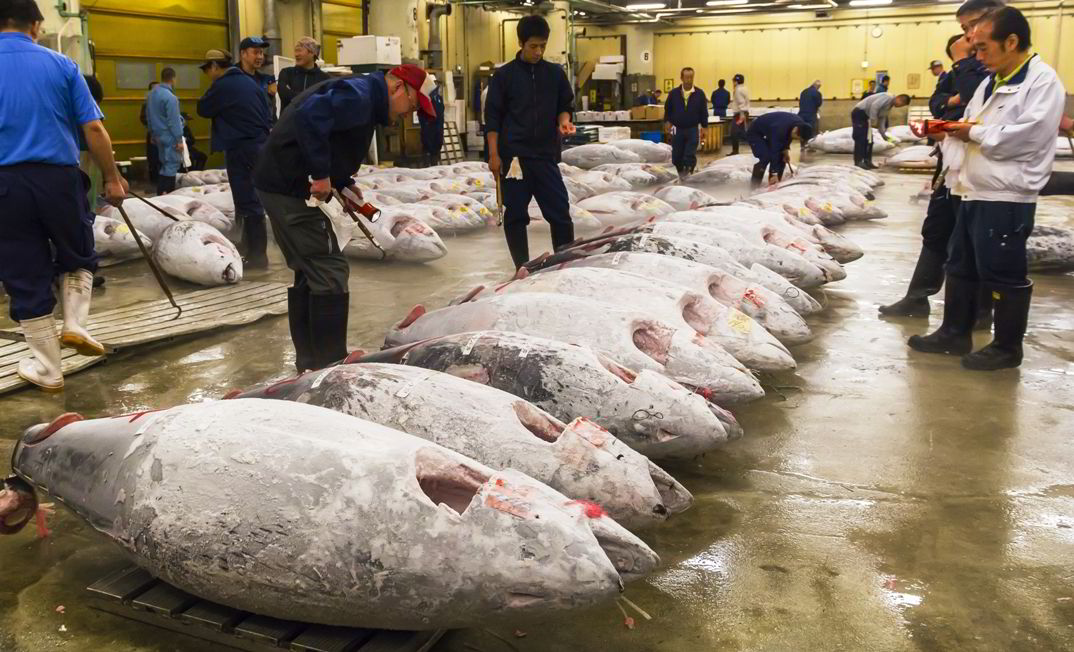 What is the world's largest seafood market?