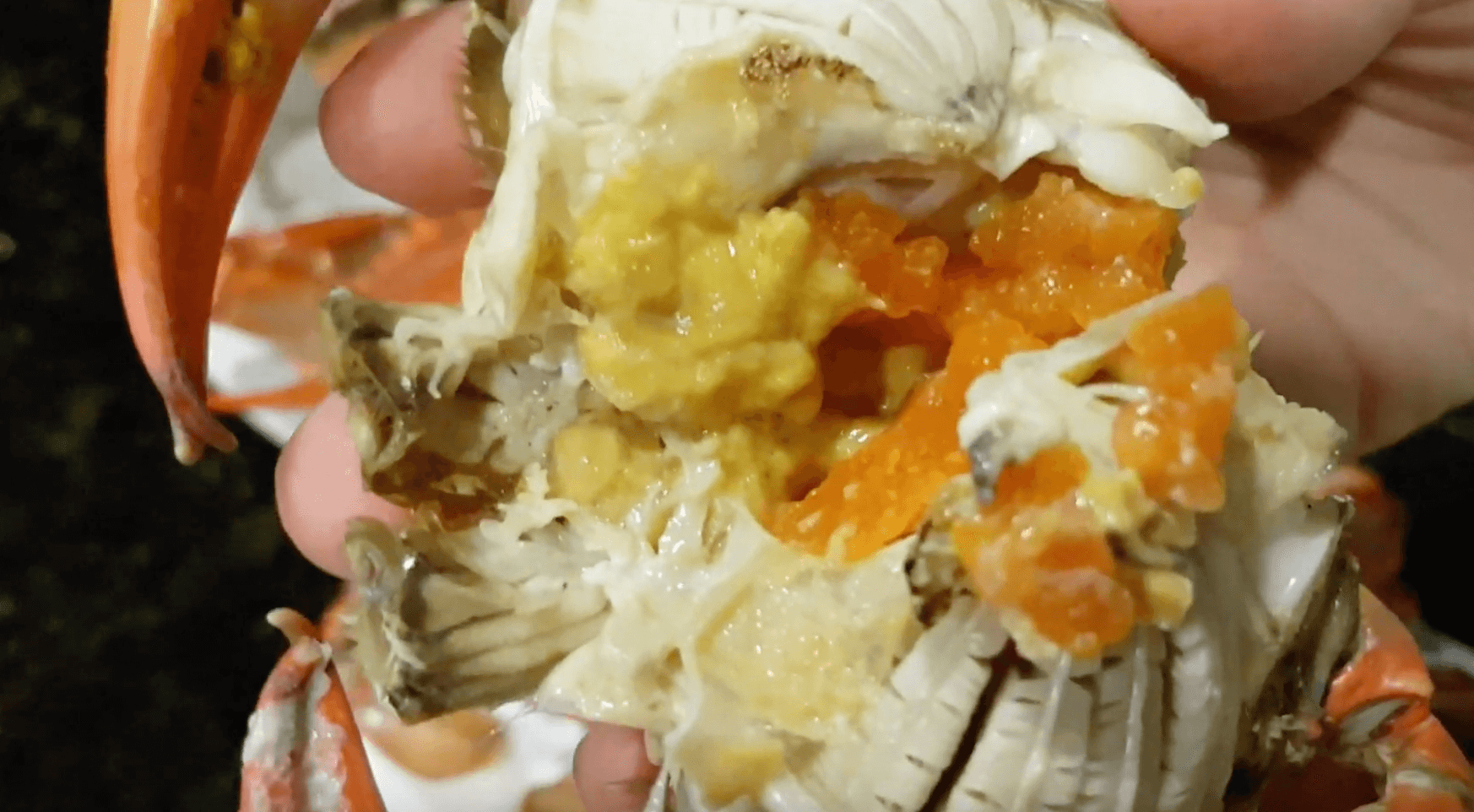 What is the yellow stuff in female crabs?