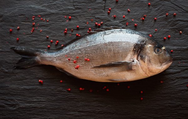 What is too good to be true when buying fish?