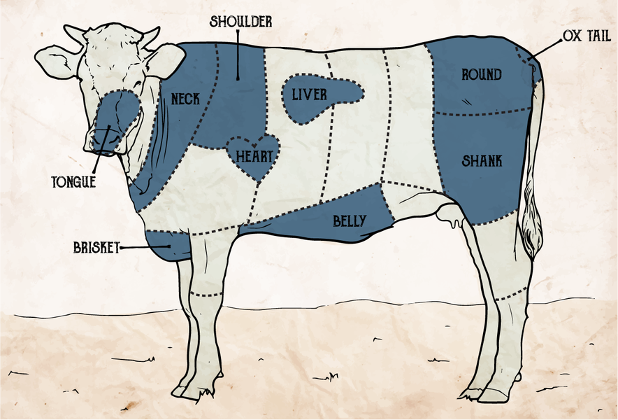 What is toughest part of cow to eat?