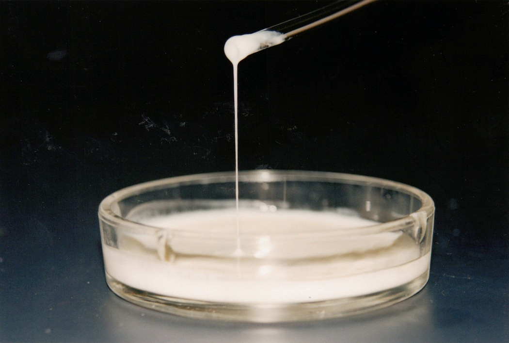 What is used as a thickener for dairy products?