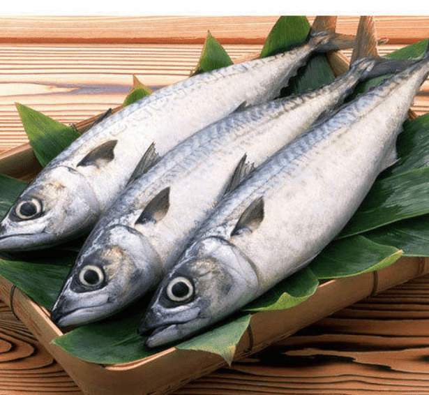 What is Vanjaram fish called in English?