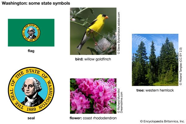 What is Washington's state flower and bird?