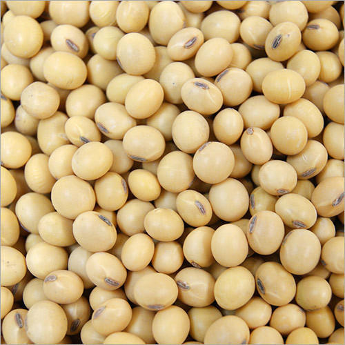 What is whole soy beans?