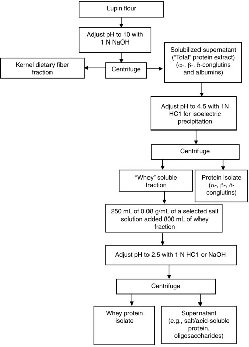 What is wrong with protein isolates?