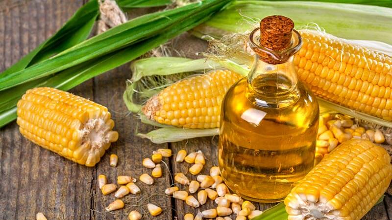 What kind of corn is used for corn oil?