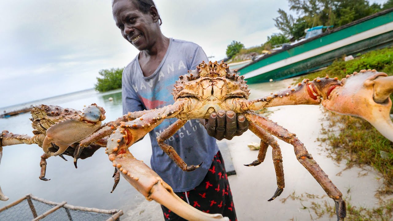 What kind of crab is in Jamaica?