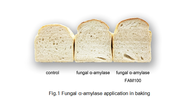 What kind of enzymes are used in bread?