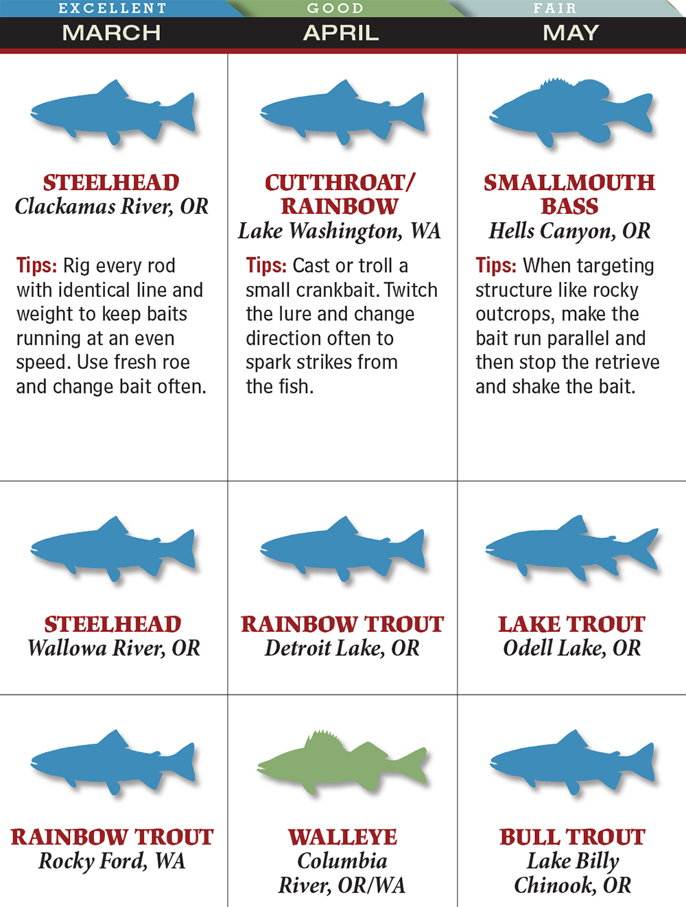 What kind of fish can you catch in Lake Washington?