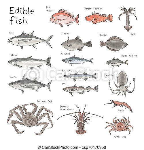What kind of fish is edible?