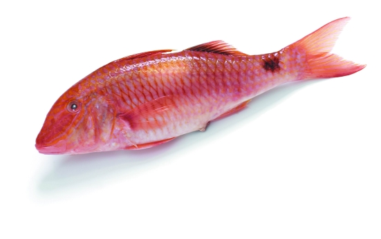 What kind of fish is pink and red?