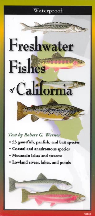 What kind of freshwater fish are in California?