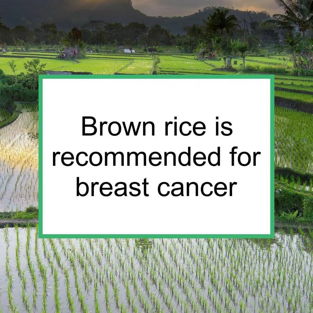 What kind of rice is good for cancer patients?