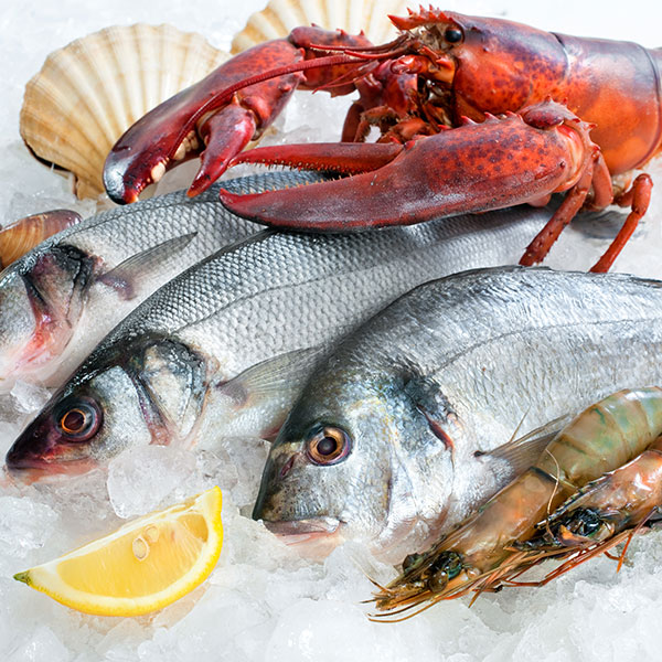 What kind of seafood can you freeze?