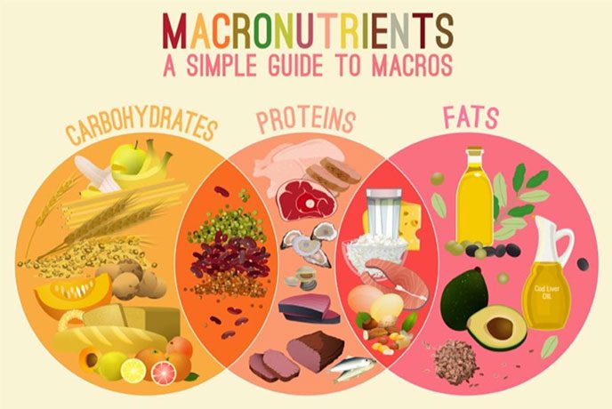 What macronutrients are needed in a healthy diet?