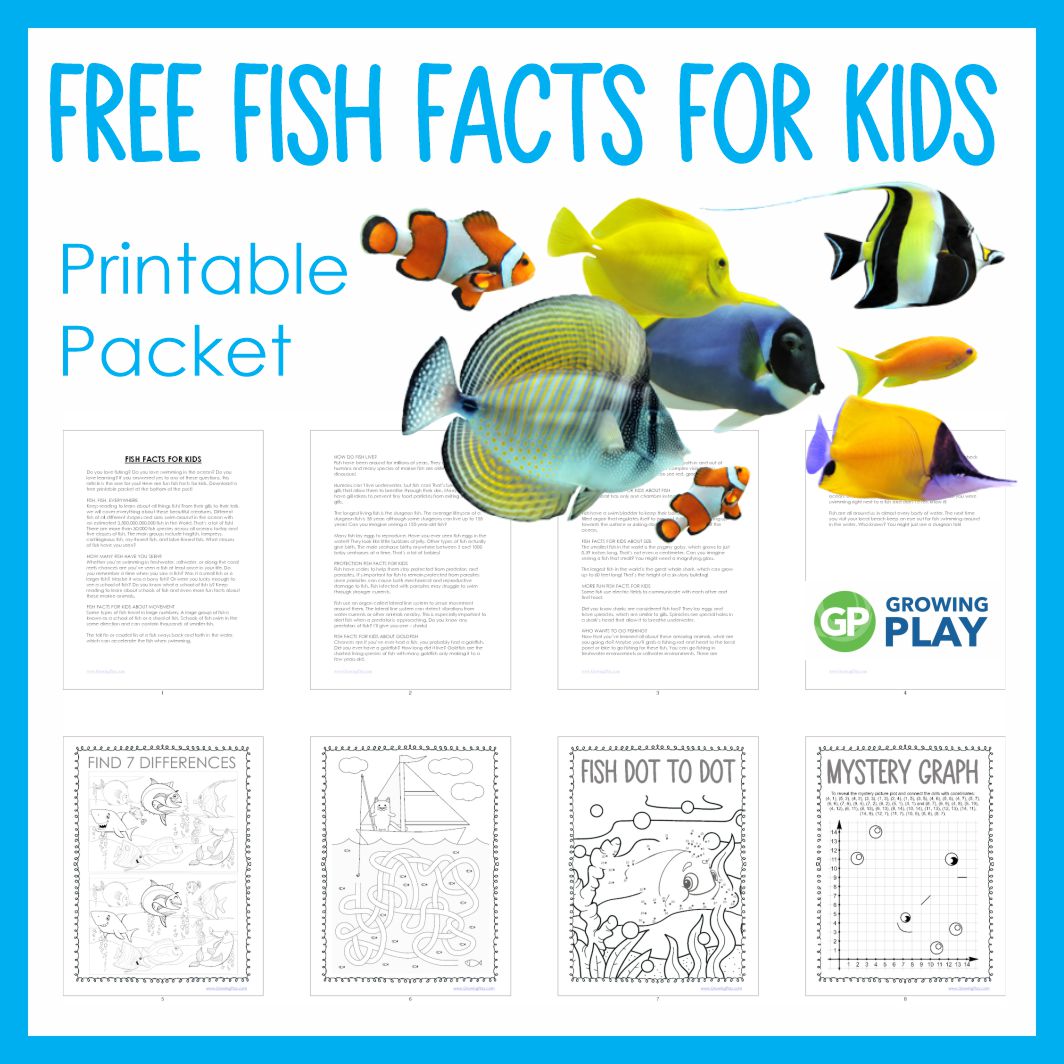 What makes a fish a fish facts for kids?
