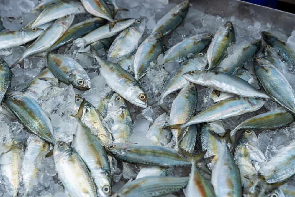 What makes fish perishable?