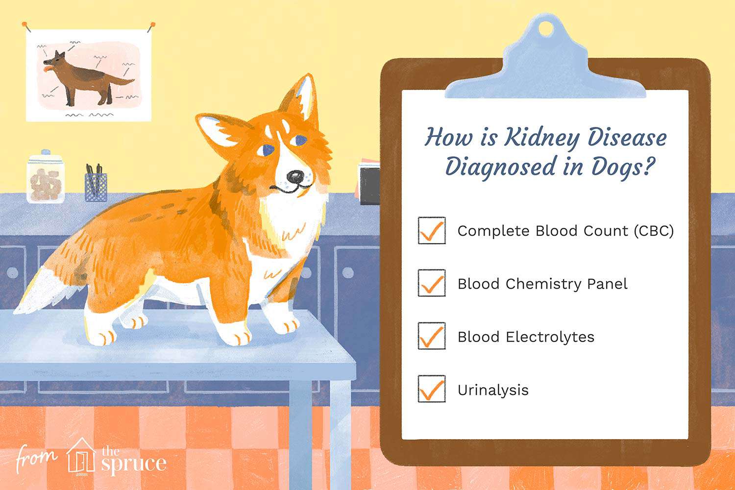 What makes kidney disease worse in dogs?