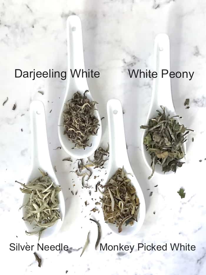 What makes white tea different?