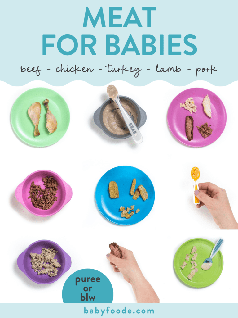 What meat can 6 month olds eat?