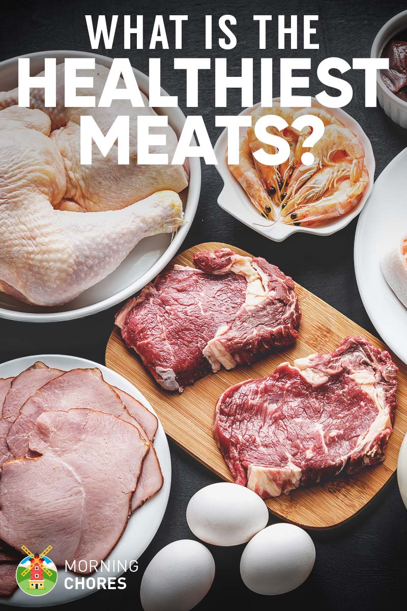 What meat is the healthiest to eat?