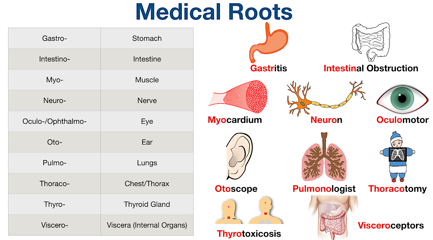 What medical prefix means together?