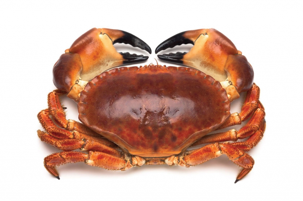 What minerals are in crab?